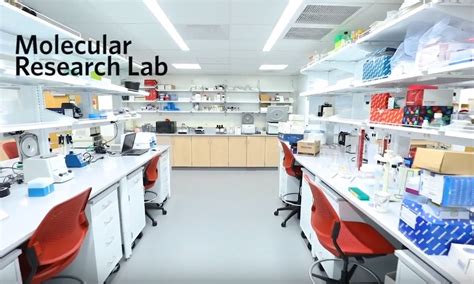 Analytical Lab Designs