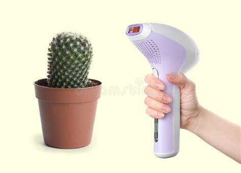 Hair Removal Concept Cactus And Woman Holding Modern Photoepilator On