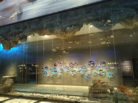 海口海南省博物馆攻略 海口海南省博物馆门票 游玩攻略 地址 图片 门票价格携程攻略