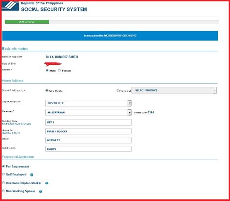 How To Get Sss Number Online In The Philippines