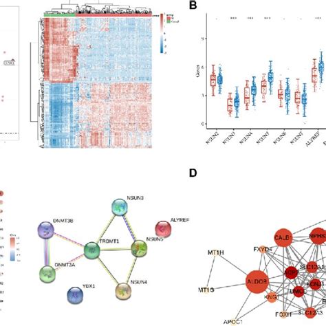 The Expression Profiling Of Tcga Kirp Cohort A The Volcano Plot And