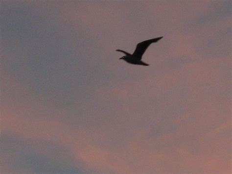 Ccg Front Page — Congregational Consulting Group