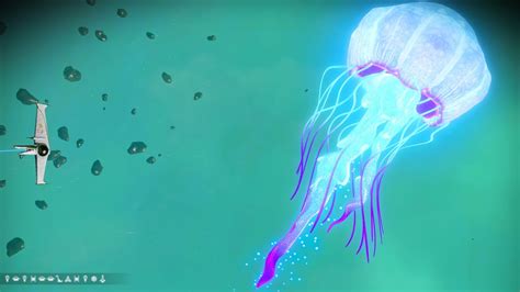 Tiny R Nomansskythegame