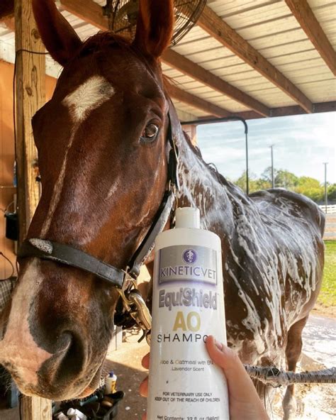 Product Review 5 Must Haves In Your Grooming Tote Heels Down Mag