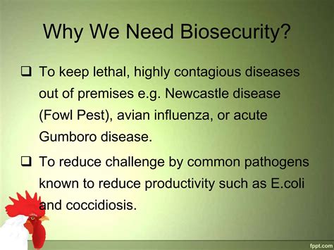 Biosecurity Of A Poultry Farmpptx