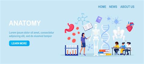 Premium Vector Anatomy School Subject Students Studying Human