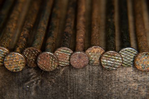 Old Rusty 16 Penny Nail Heads Line Of Heavy Penny Nails For
