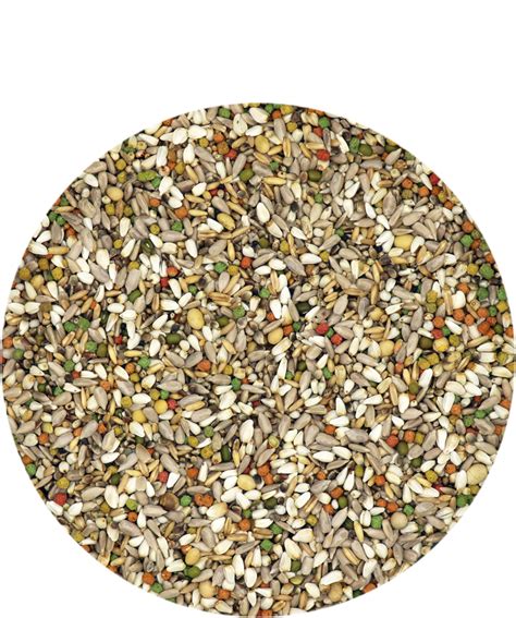 VERSELE-LAGA Energy Plus 18kg-411073