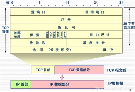 计算机网络协议分析 第12课 Tcp第一部分tcp 头为什么没有长度 Csdn博客