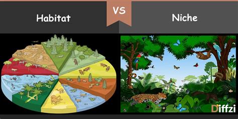 Habitat Niche Major Differences Examples Off