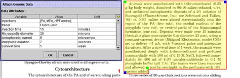 Screenshot Showing Generic Data Annotations Based On Attribute Value