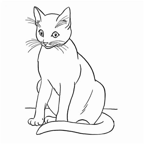 Раскраски Котэ для детей (33 шт.) - скачать или распечатать бесплатно ...