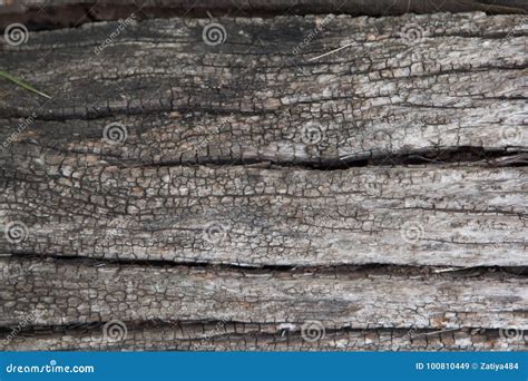 Decayed Wood Texture Stock Image Image Of Wood Cracks 100810449
