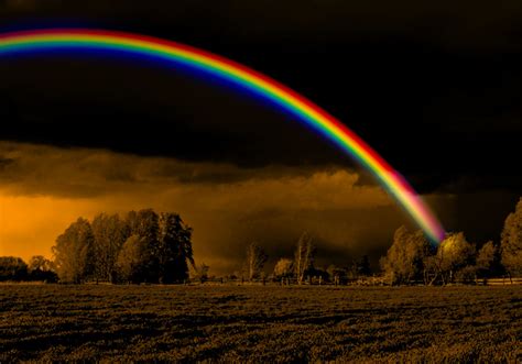 Colors Of The Rainbow Tewssnow