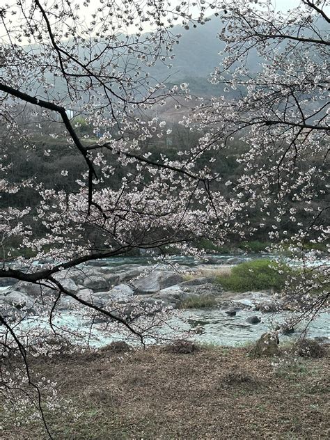 매일이 행복할 순 없지만 행복한 일은 매일 있어 si yoming Threads Say more