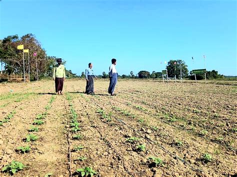 ခရိုင်စိုက်ပျိုးထုတ်လုပ်မှု တိုးတက်မြင့်မားရေးကော်မတီအဖွဲ့ဝင်များက သာပေ