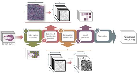Predicting Molecular Tumor Biomarkers From Hande A Review Of The State Of The Art