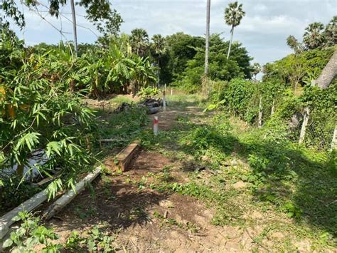 ករណីរំលោភដីផ្លូវតាំងពីបូរាណនៅឃុំរហាត់ទឹក ខេត្តបន្ទាយមានជ័យ មិនទាន់ទទួលបានដំណោះស្រាយ