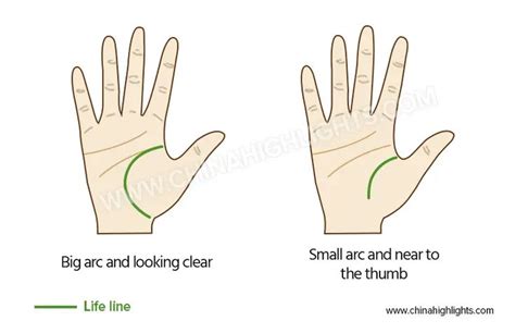Palm Reading Guide How To Read Your Palm Lines With Chart Reading Help Palm Reading Palm