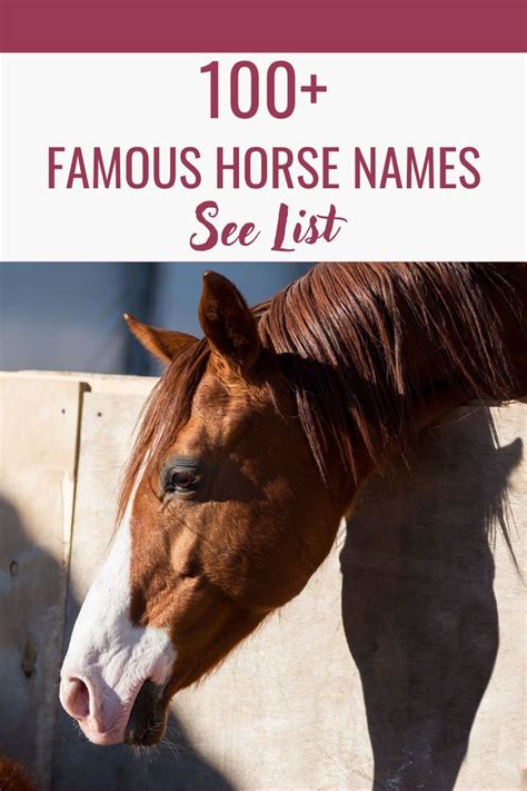 Famous Horse Names Horse Names Horses Show Horse