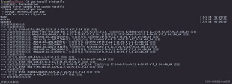 Dig 简明教程digcsdn Csdn博客