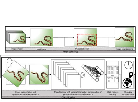 Ml Workflow Used To Differentiate Between Snake Species Download