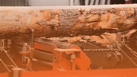 How To Tell What Size Chain You Have PEER Chain