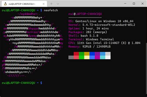 在 Windows Subsystem For Linux 上运行 Gentoo 睿