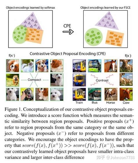 Fsce 通过对比性建议编码进行的few Shot目标检测 知乎