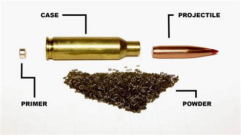 What Are The Basic Parts Of Ammunition Field And Stream