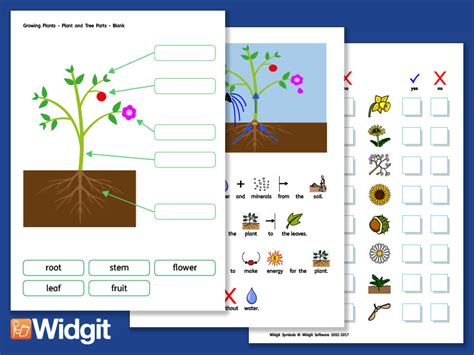 Widgit Softwares Shop Teaching Resources Tes