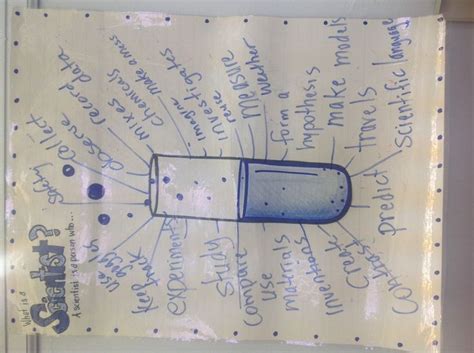 Science Anchor Chart W Science Anchor Charts Scientific Investigation St Day Of Babe