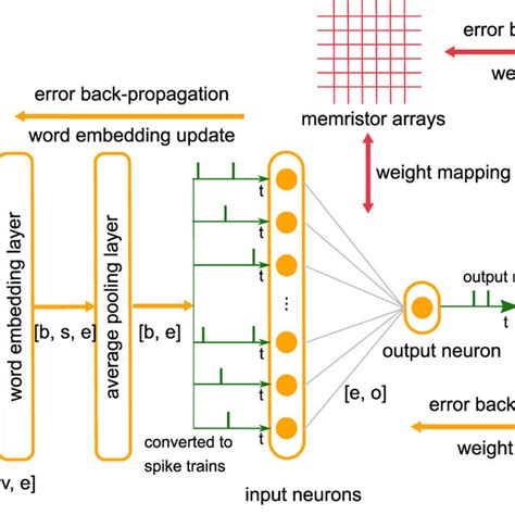 A Comparison Between The Biological Neuron Artificial Neuron And