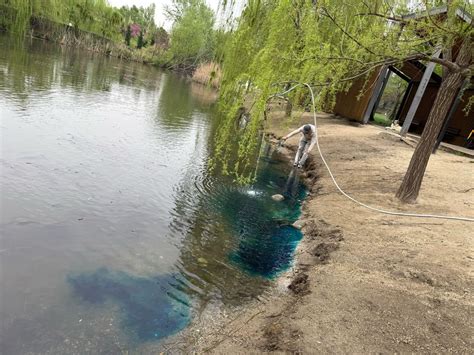 გარემოს დაცვის გარემოს დაცვის საქალაქო სამსახური