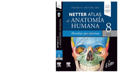 Atlasnetter Atlas Netter F R A N K H N E T T E R M D Netter Netter Atlas De AnatomÍa