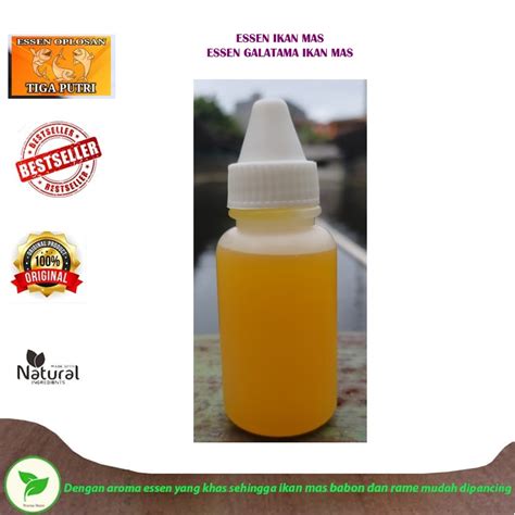 Jual Essen Oplosan Ikan Mas Babon Induk Dan Ikan Mas Rame Tiga Putri