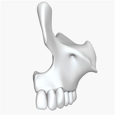 Maxilla 3d Models Download Free3d
