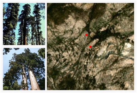 Search Tta A Multimodal Test Time Adaptation Framework For Visual Search In The Wild