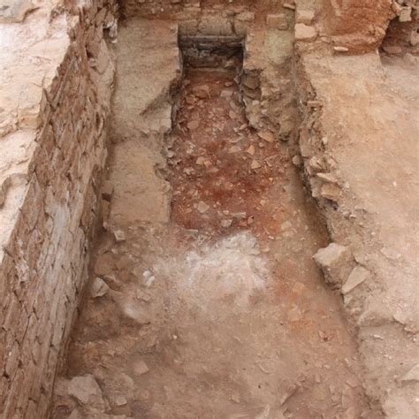 Sex Reconstruction For The Neolithic Bones Nseq Total Number Of