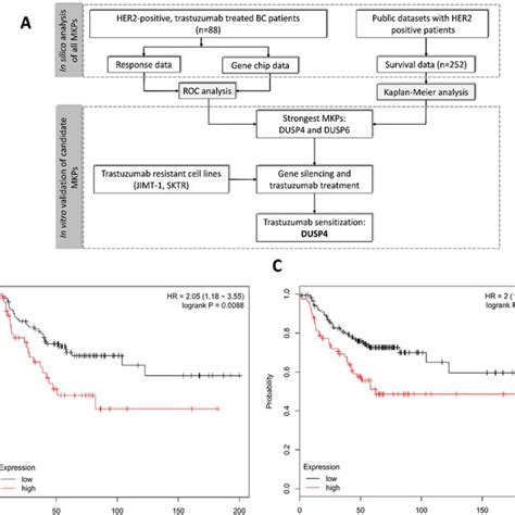 Trastuzumab Sensitivity Of Resistant Sktr And Jimt 1 Cell Lines