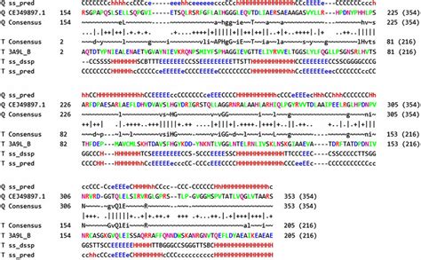 The Sequence Alignment Between The Predicted Model Modeller And The Download Scientific