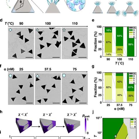 Nanometer Precision In Size And Shape Of Patches From Asymmetric Download Scientific Diagram