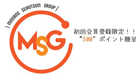Msg Onlineshop