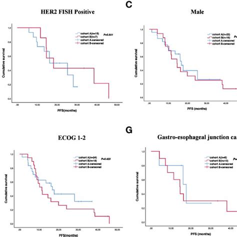Stratified Analysis Of Progression Free Survival In Different