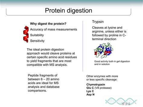 Proteomics Lecture Introduction To Proteomics PPT