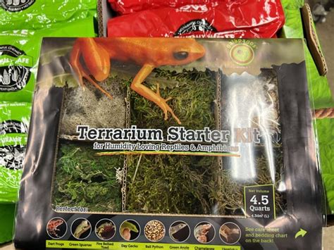 Built Bioactive Environment For My Ball Python Rballpython