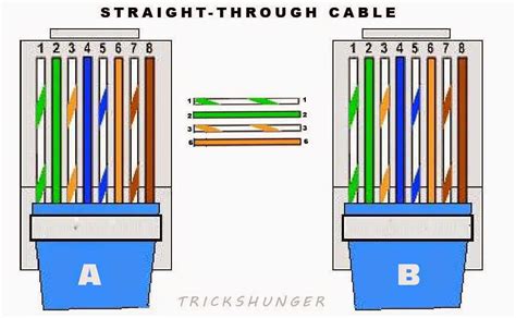 Ethernet Patch Cable Straight Through Free Programs Utilities And Apps Nutsmaster