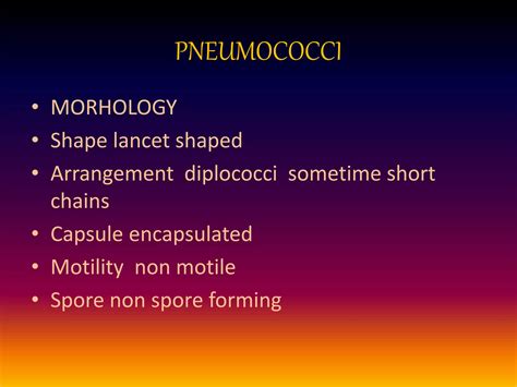 Streptococcus Pneumoniae Pptx