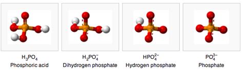 Phosphate Buffer System Equation