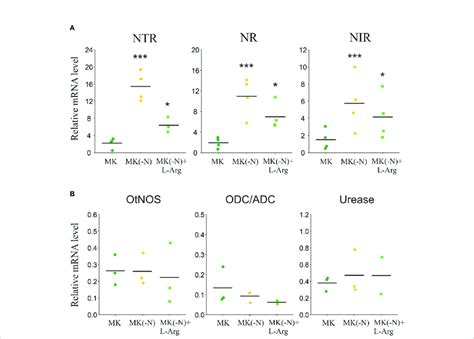 Transcript Level Of Genes Associated With N Assimilation In O Tauri